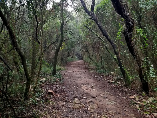 Randonnée au Pont du Gard - les petits pieds en randonnée