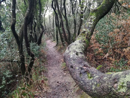 Randonnée au Pont du Gard - les petits pieds en randonnée